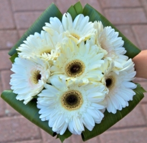 Buchet de mireasa din gerbera alba cu livrare gratuita in Bucuresti