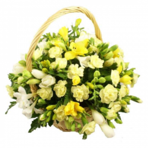 Cos cu garoafe si frezii cu livrare gratuita in Bucuresti